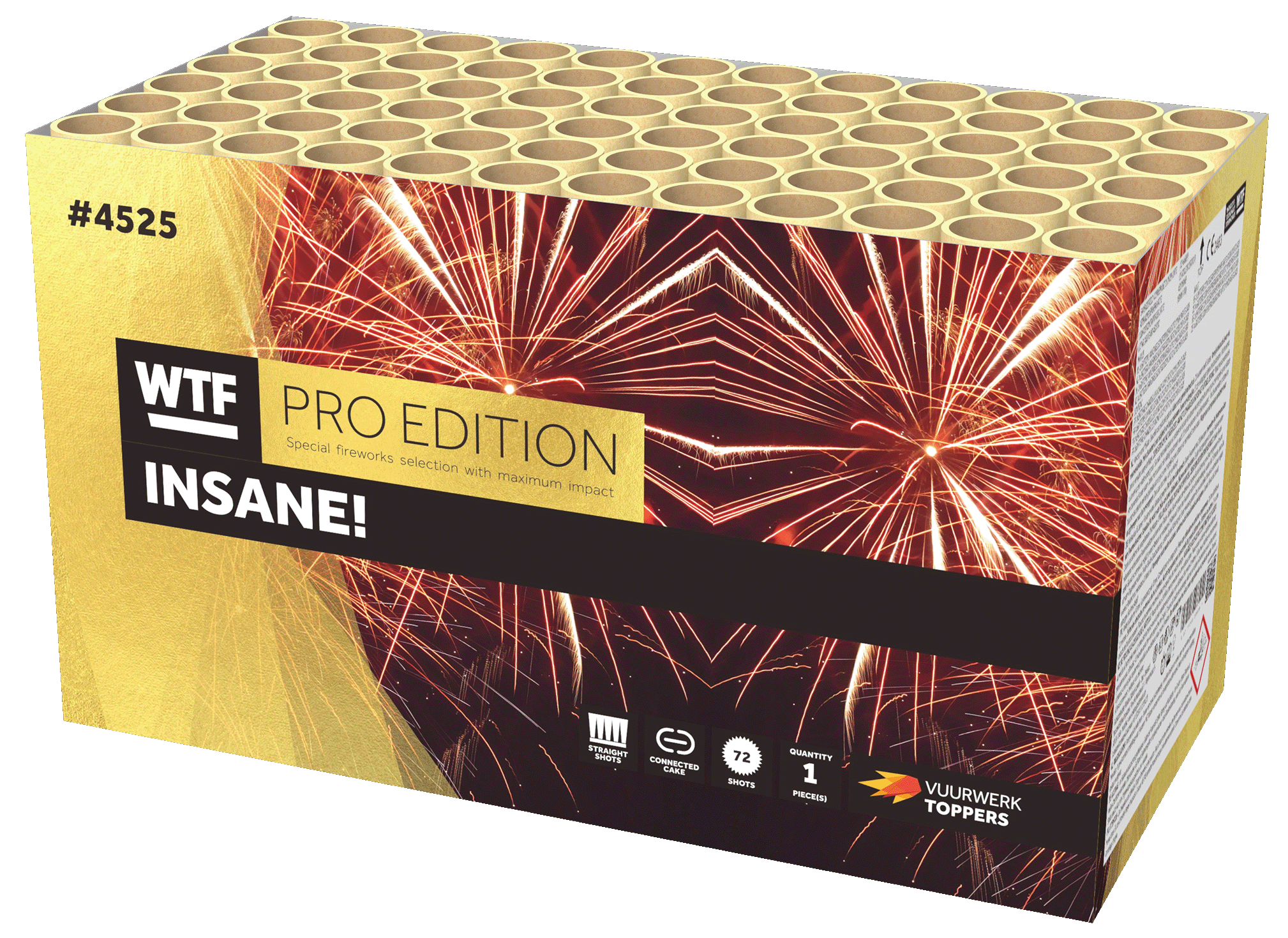 INSANE! - Worlds Toughest Fireworks